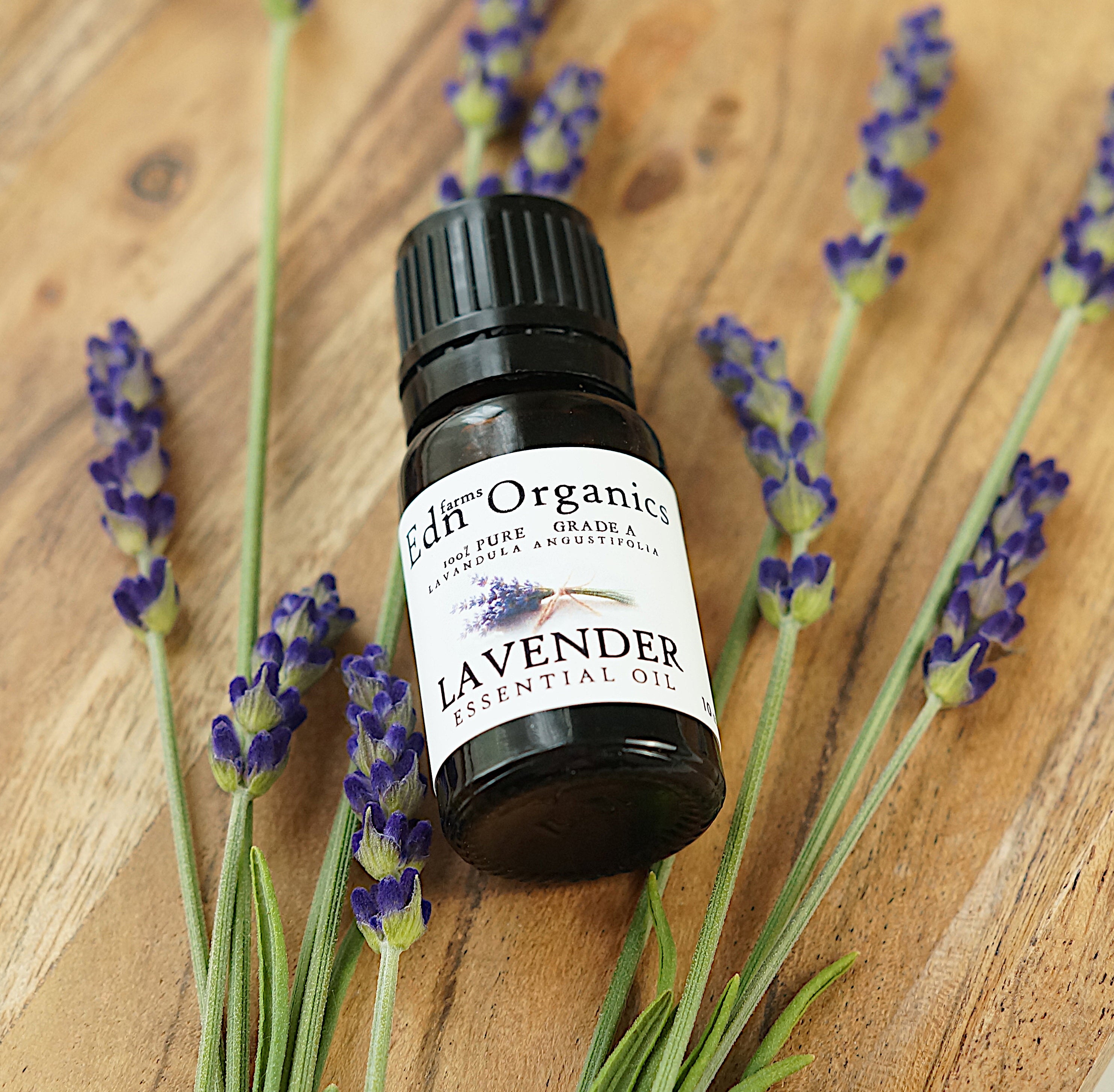 LAVENDER ESSENTIAL OIL - UNDILUTED 100% PURE – ednfarms